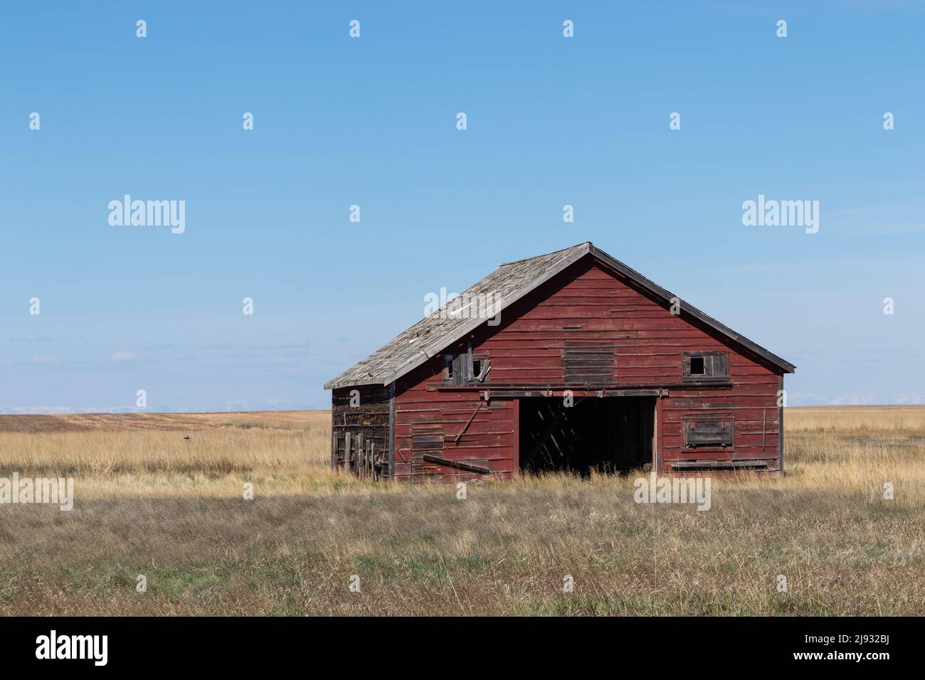 abandoned farmhouse barn on field in Alberta Stock Photo - Alamy