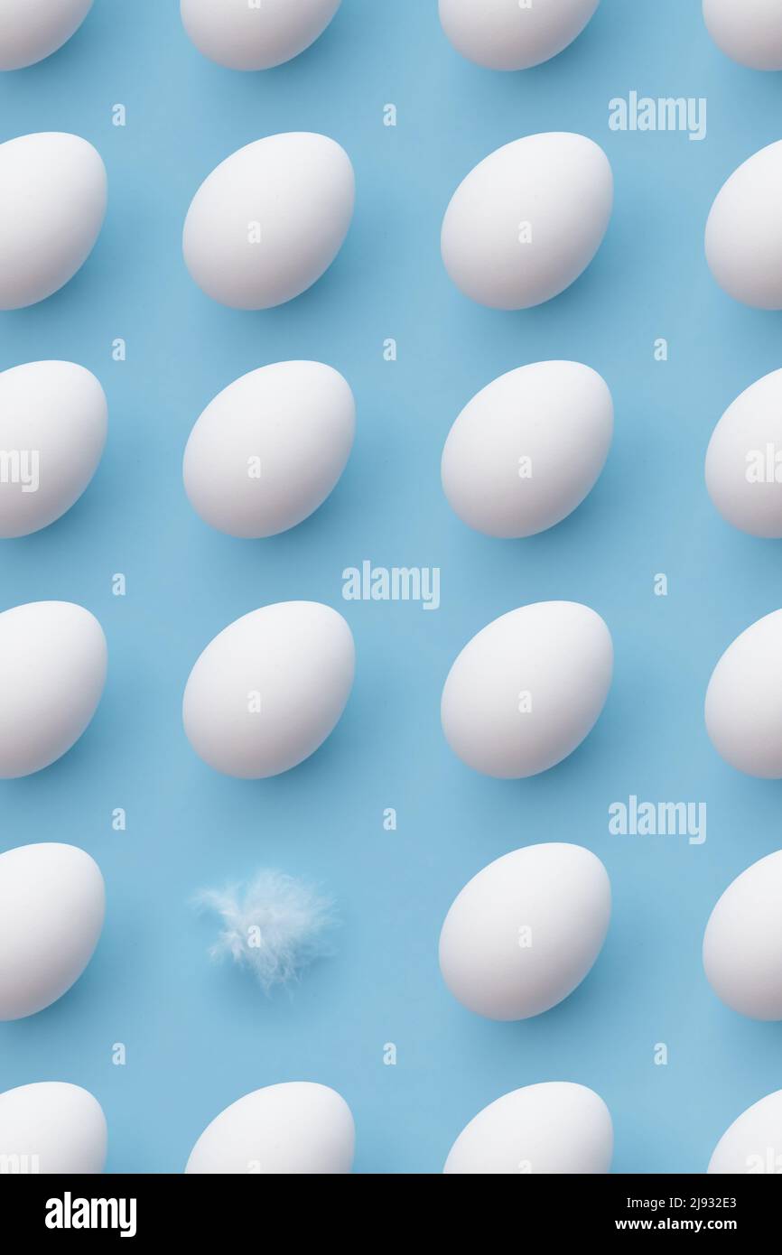 Food pattern of eggs on a blue background vertical Stock Photo - Alamy
