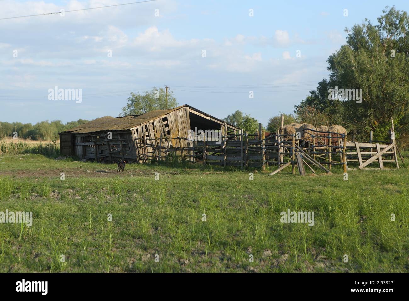 Haystack in the countryside. Farming in the village Stock Photo - Alamy