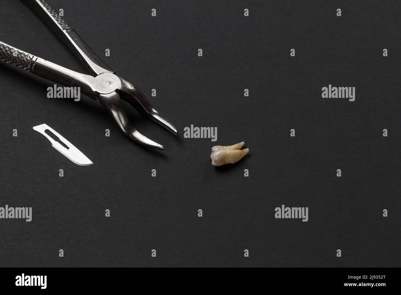 Stainless steel dental pliers, a blade and an extracted sick tooth on ...