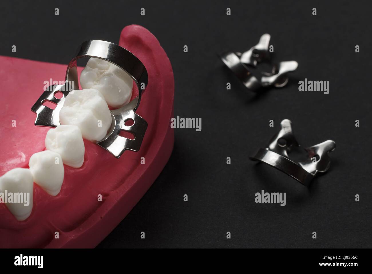 Layout of the human jaw with dam clamps Stock Photo - Alamy