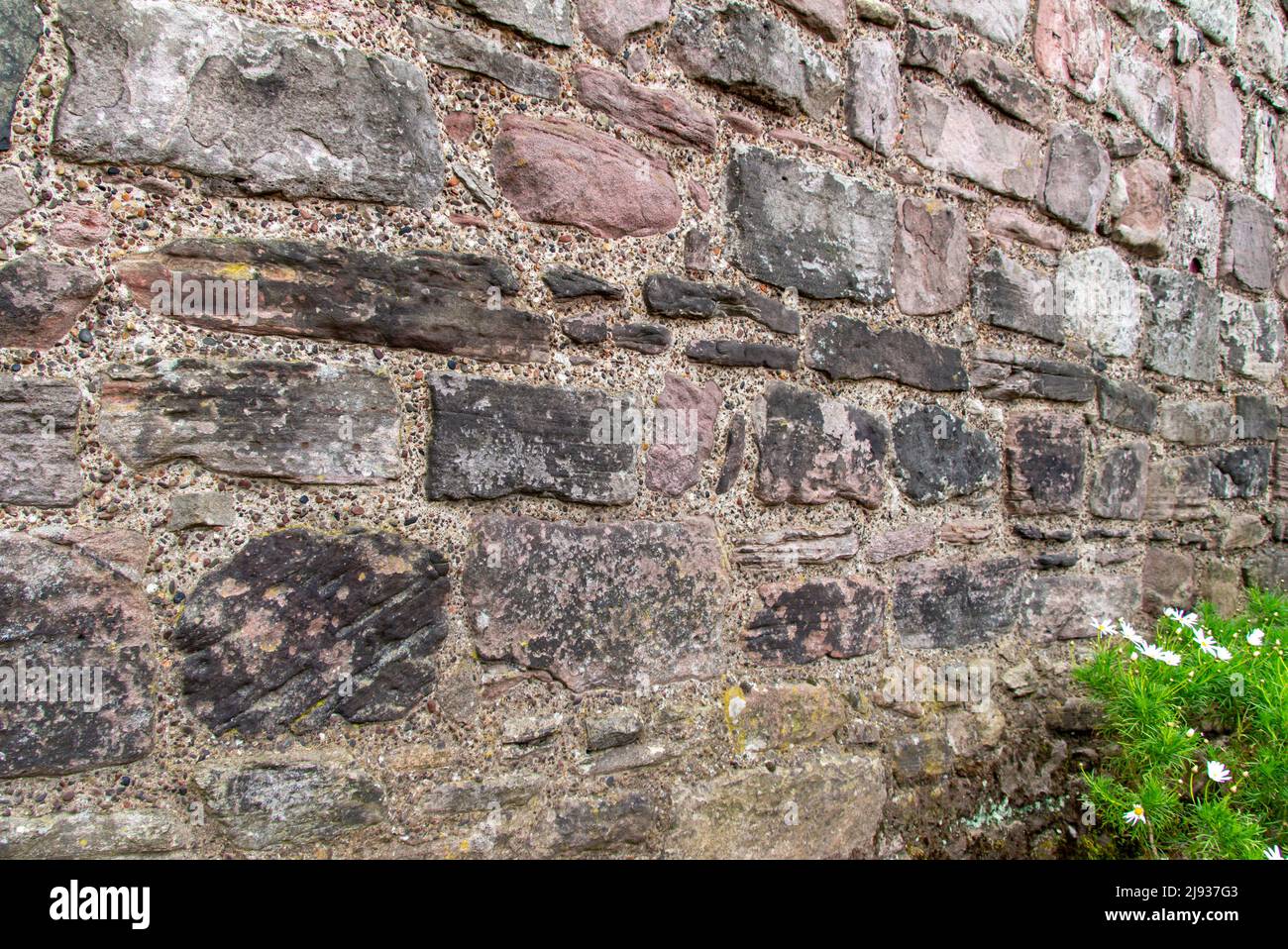 European Stone Fences