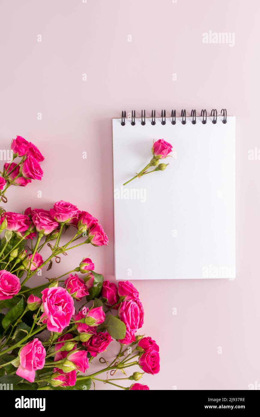 Blank notepad with white sheets for your text on a light background ...