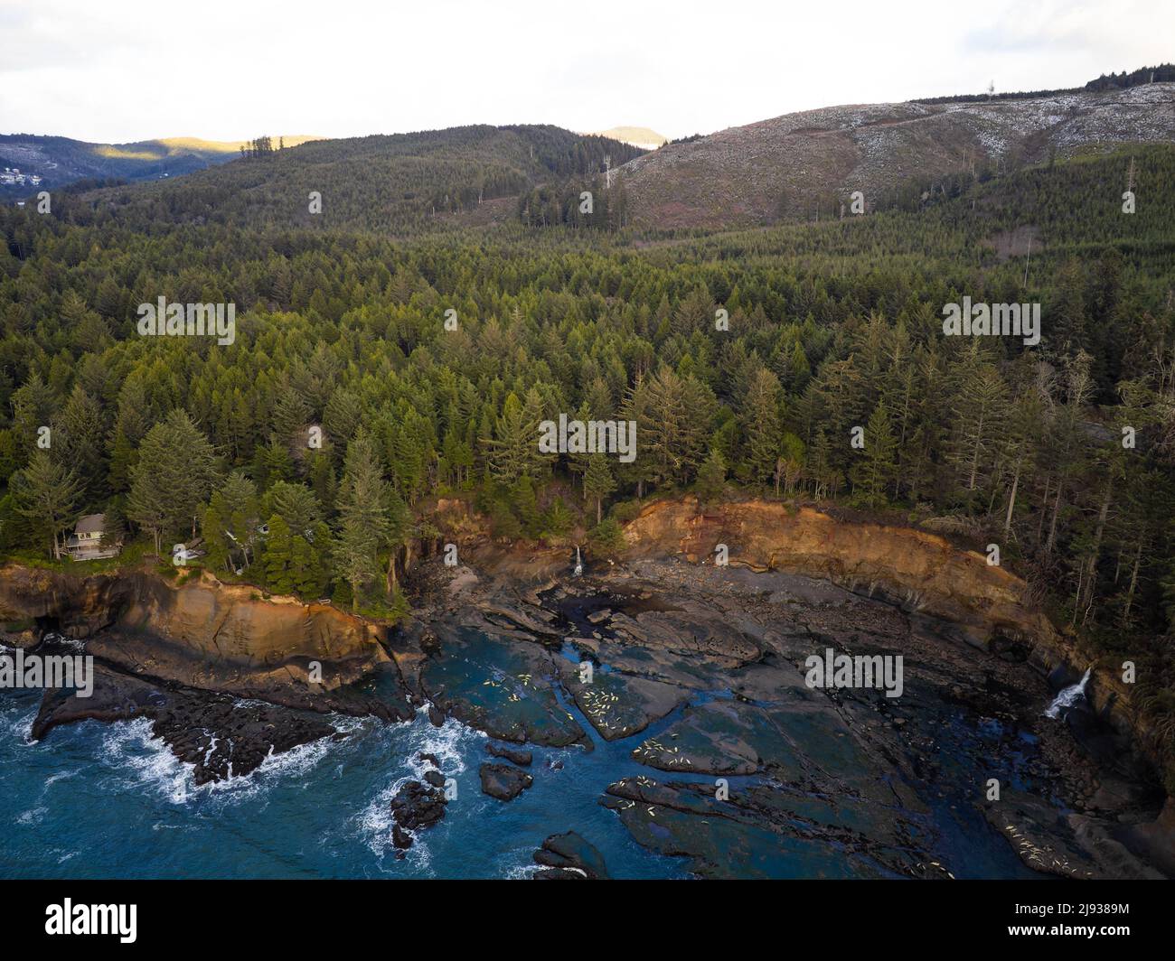 Sea bay. Bright blue sea water, a sandy shore with a pine forest, a ...