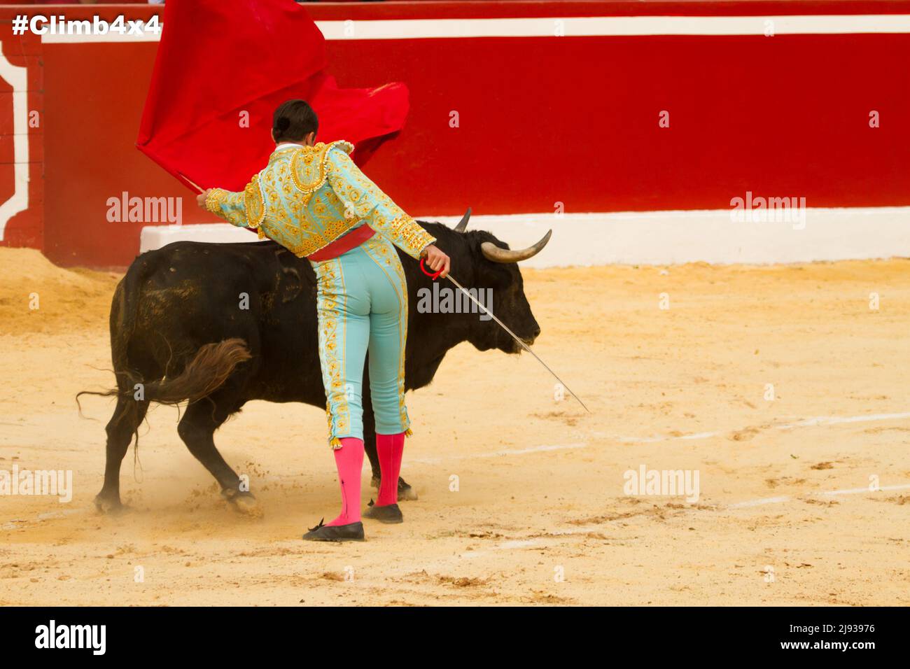 Taurine art hi-res stock photography and images - Alamy
