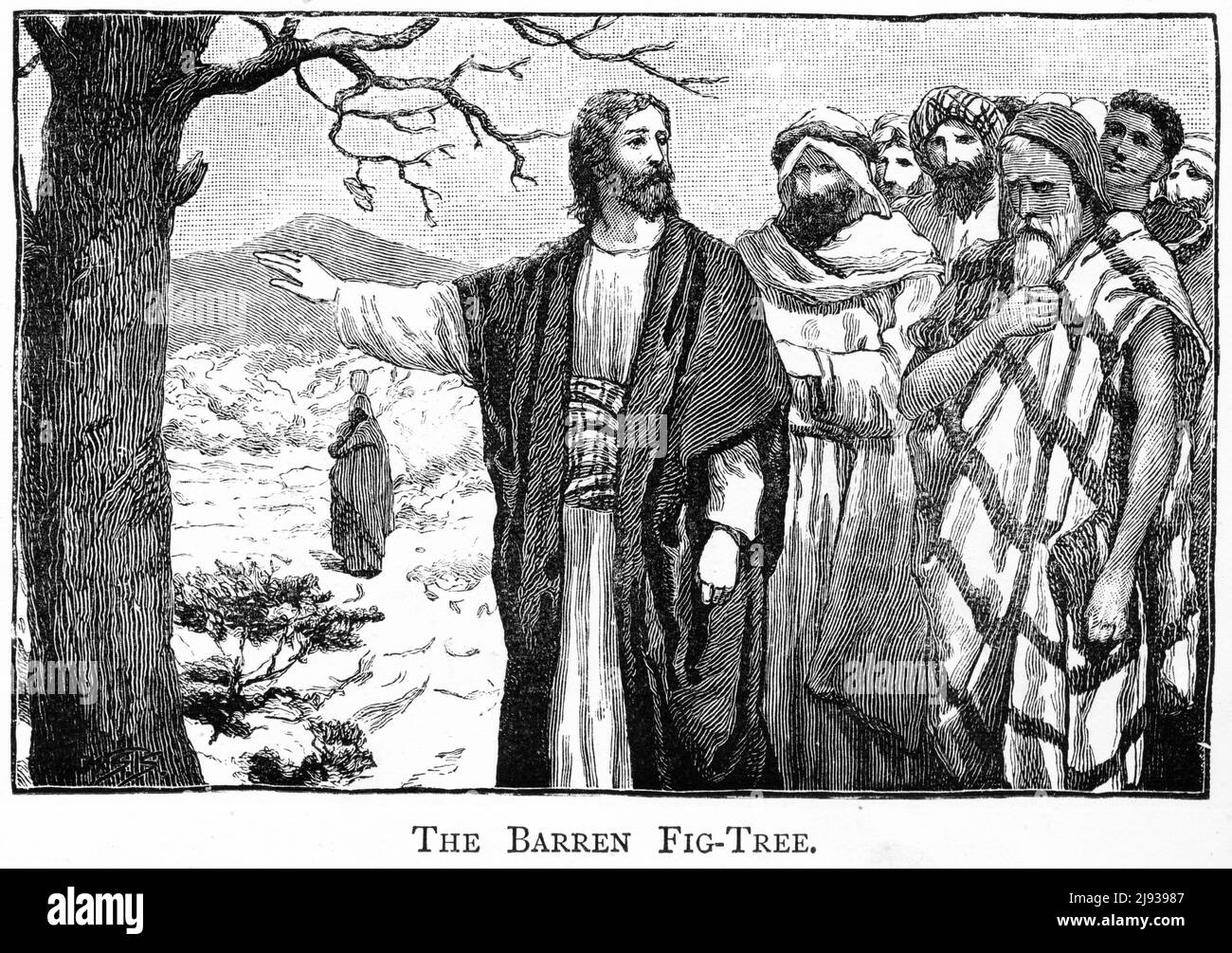 Jesus And The Barren Fig Tree Unit 3 – The Parable Of The Barren Fig