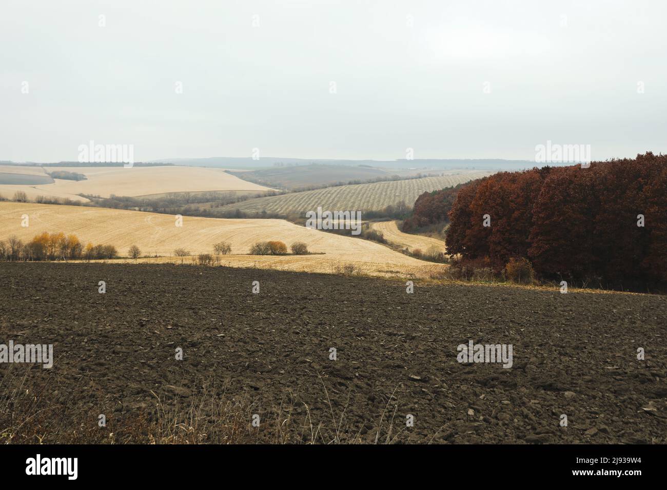 Ukrainian fields hi-res stock photography and images - Alamy