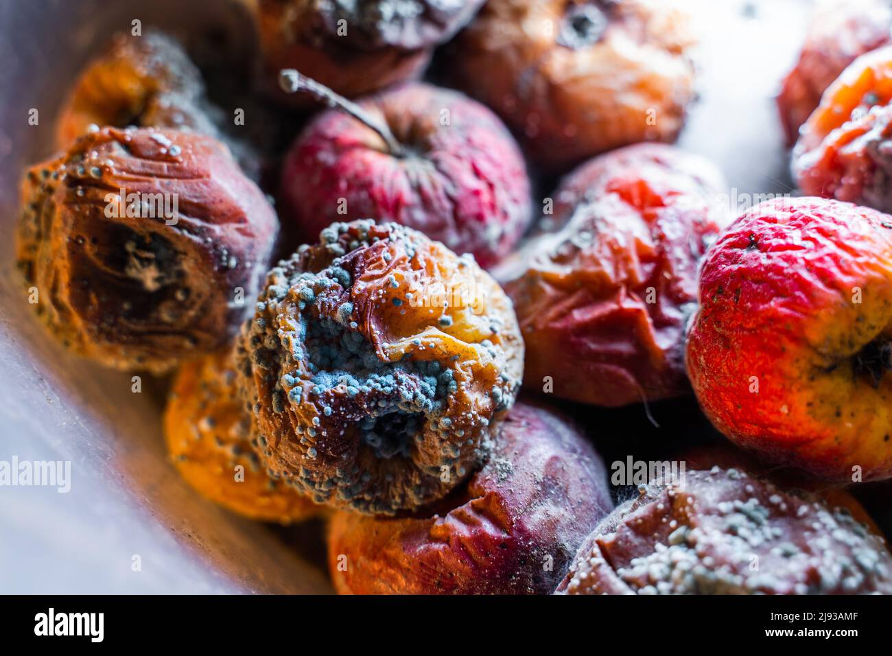 Rotten apples of different colors covered with mold Stock Photo - Alamy