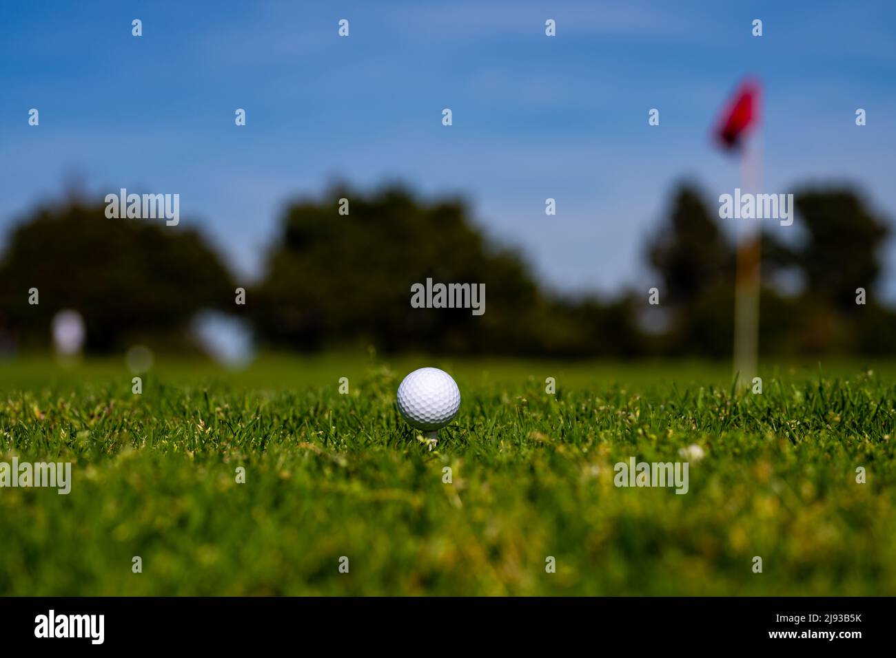 Golf ball on tee in golf course with green background. Golf ball Stock ...