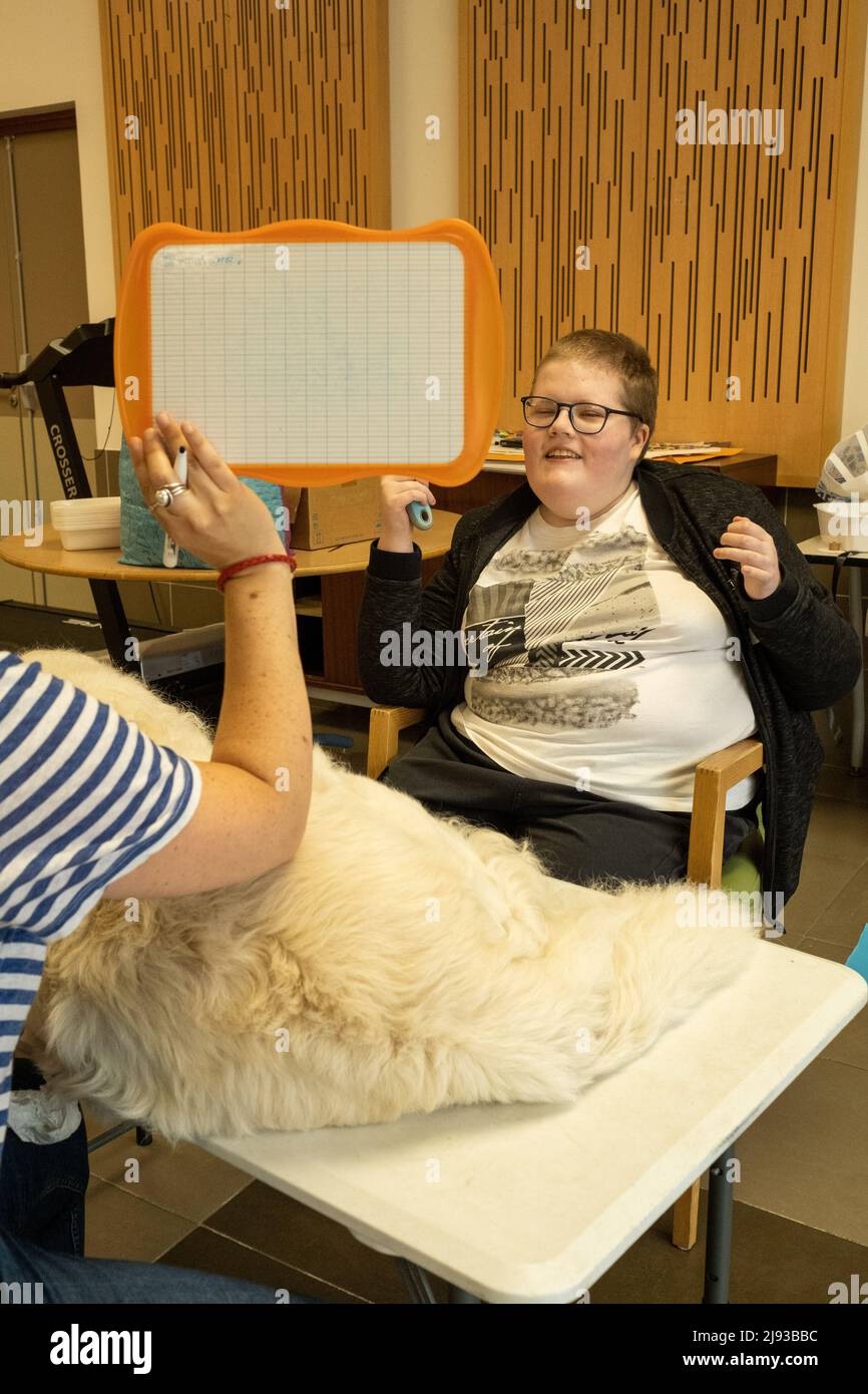 France, Bretagne, Chavagne on 2021-06-18. Animal mediation session in ...