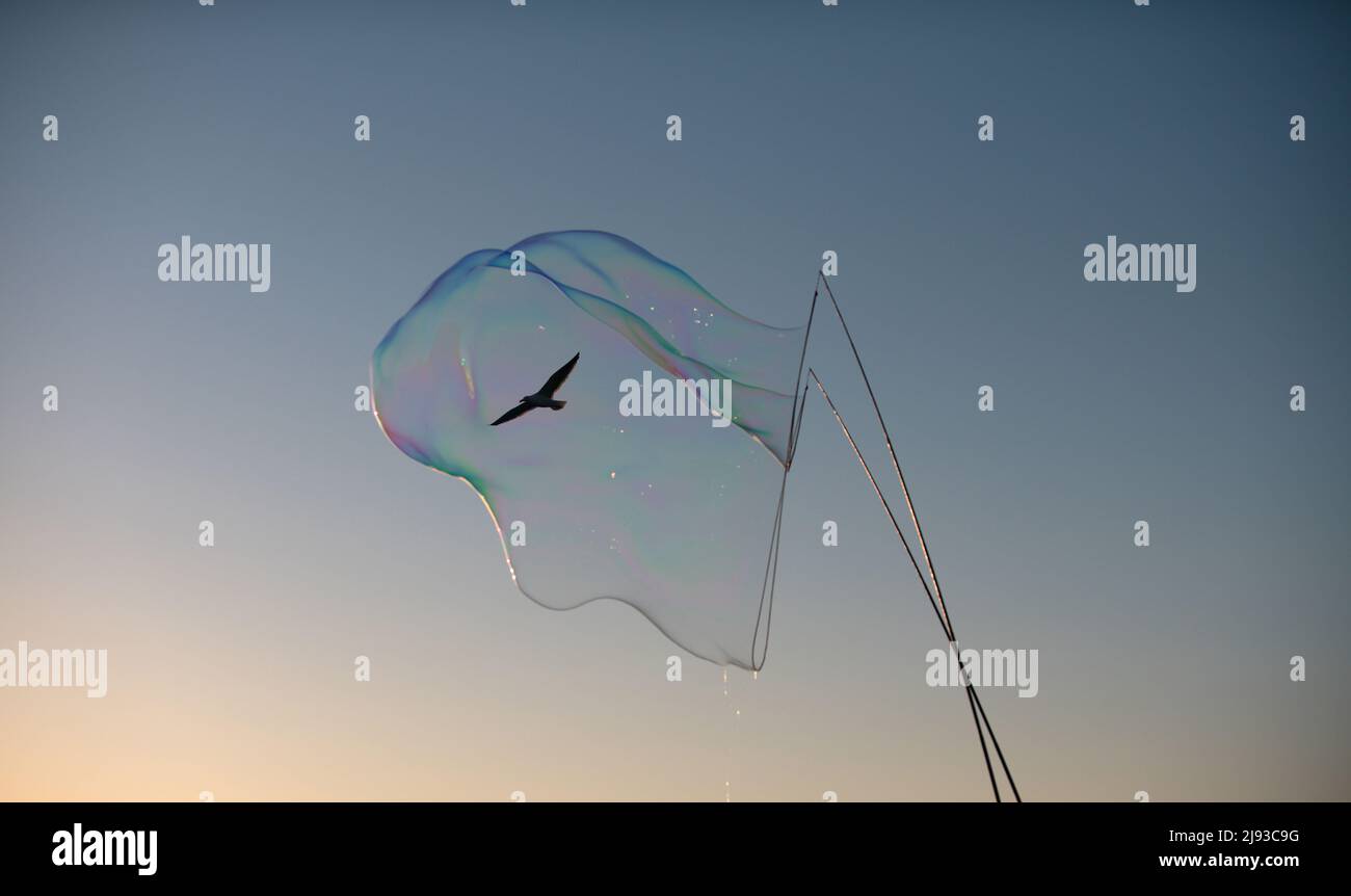 Bubble floating against blue background hi-res stock photography and ...