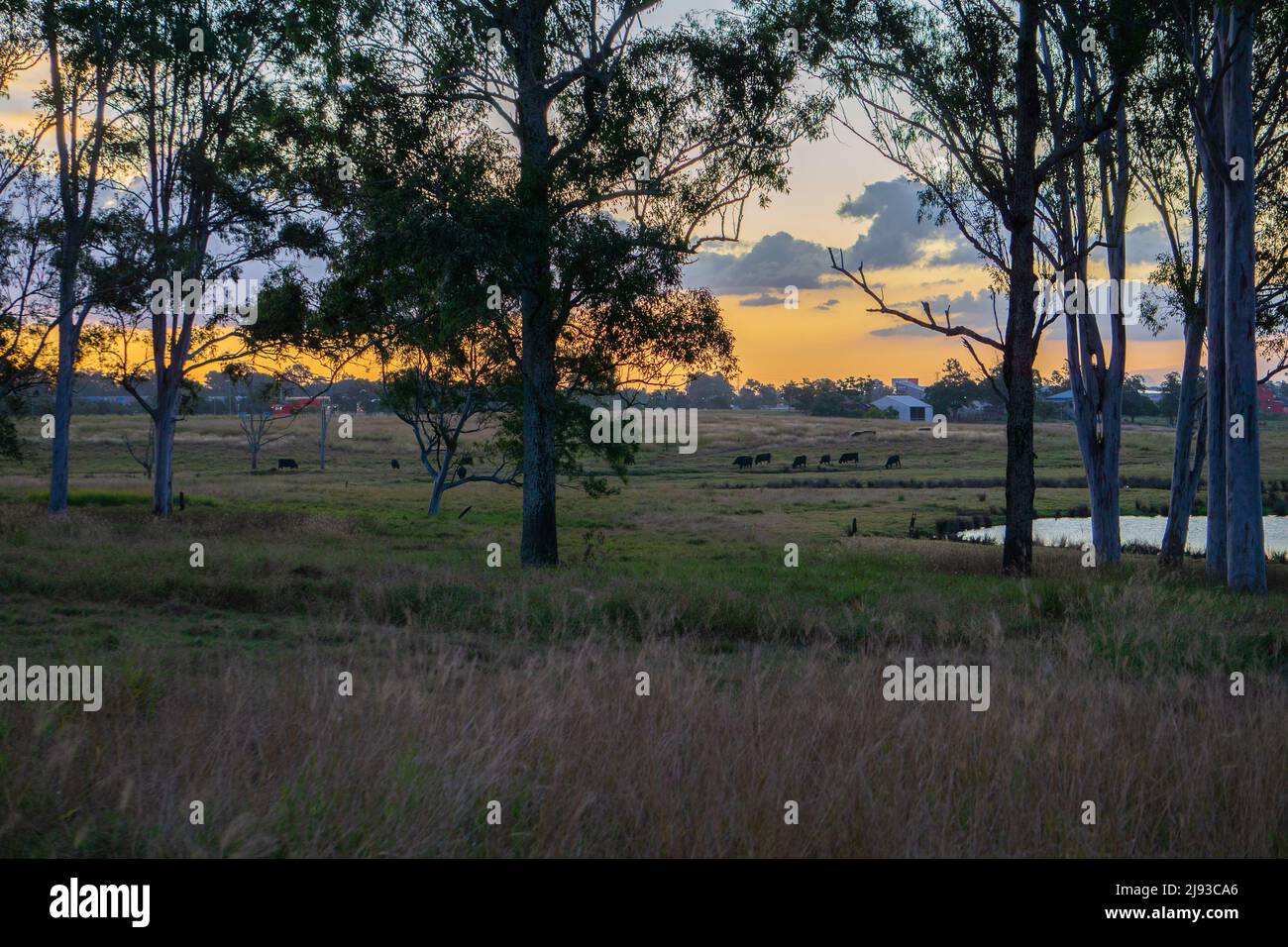 Outback Australia Sunset on a farm with a lake Stock Photo - Alamy