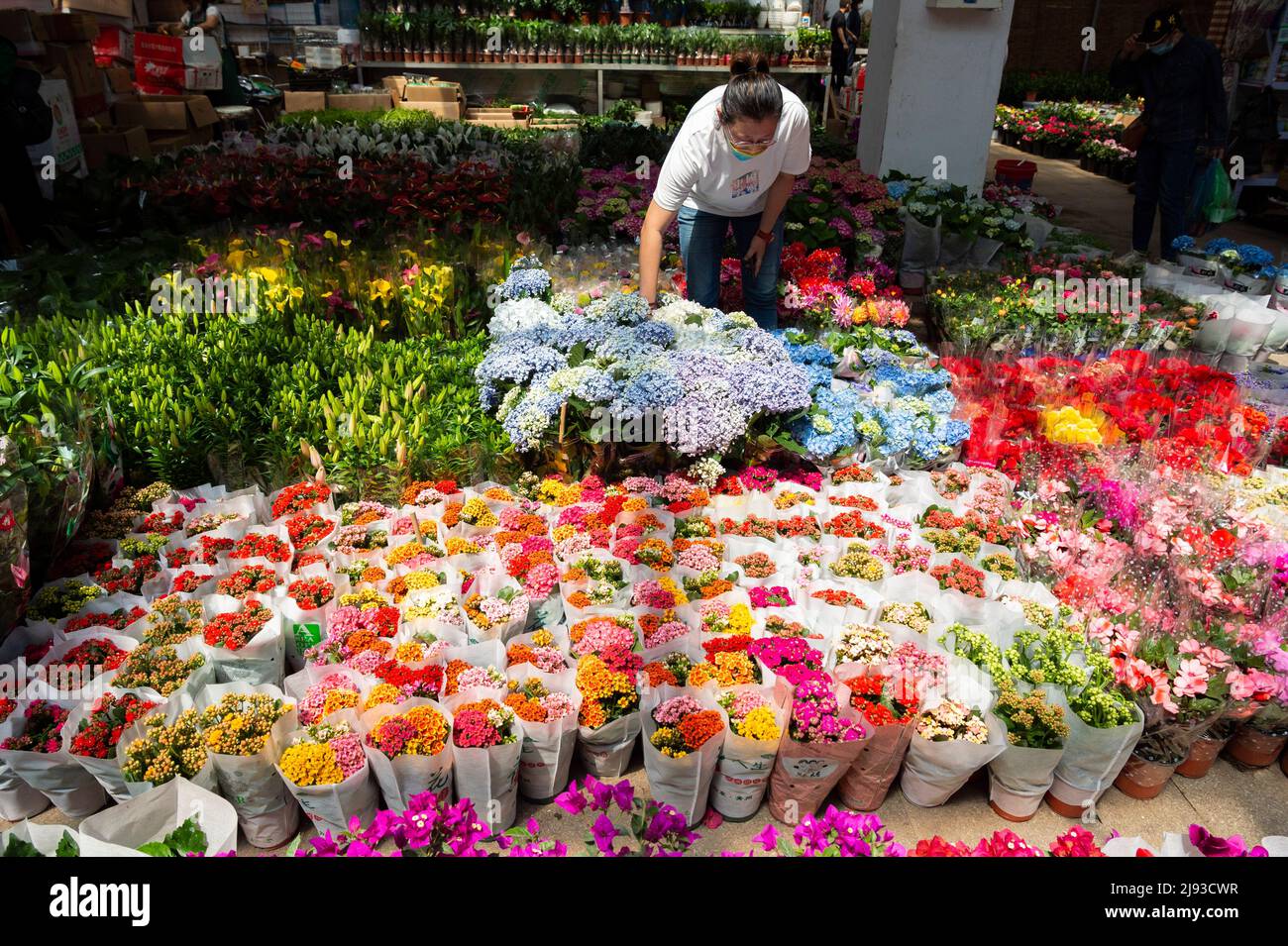 18 the normal hi-res stock photography and images - Alamy