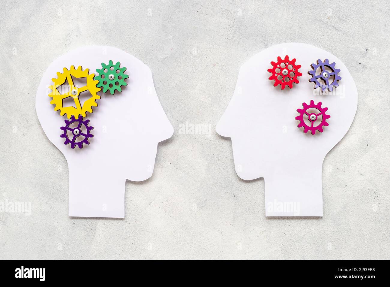 Brain work - gears on two paper human heads. Teamwork concept Stock ...