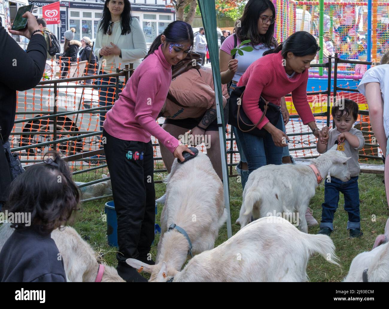 People petting and brushing goats at a petting zoo during 2022 St ...