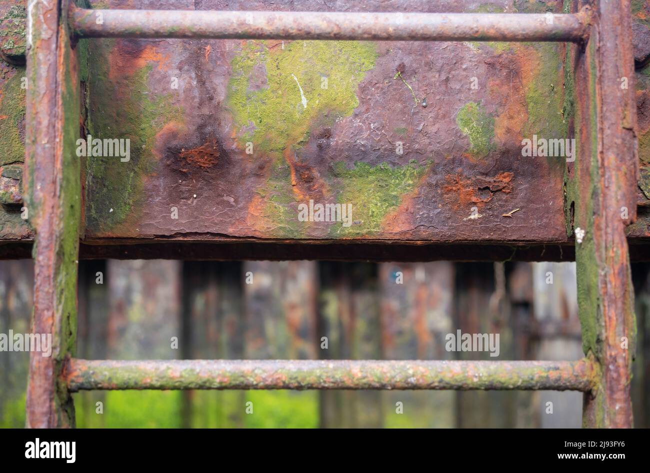 Variety of textures and colours on a rusted wall and ladder Stock Photo ...