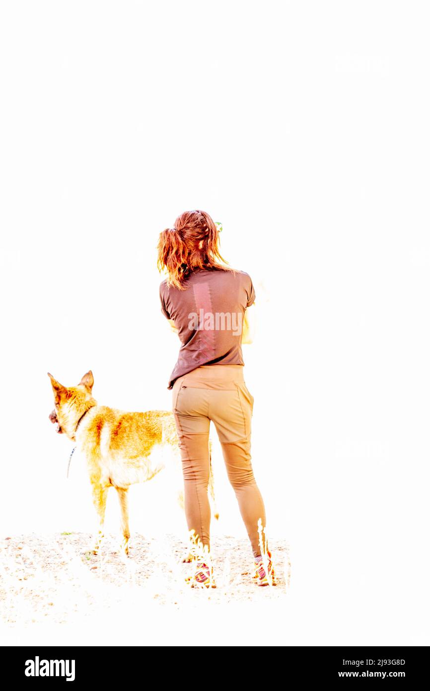 Alexandre aja hi-res stock photography and images - Alamy