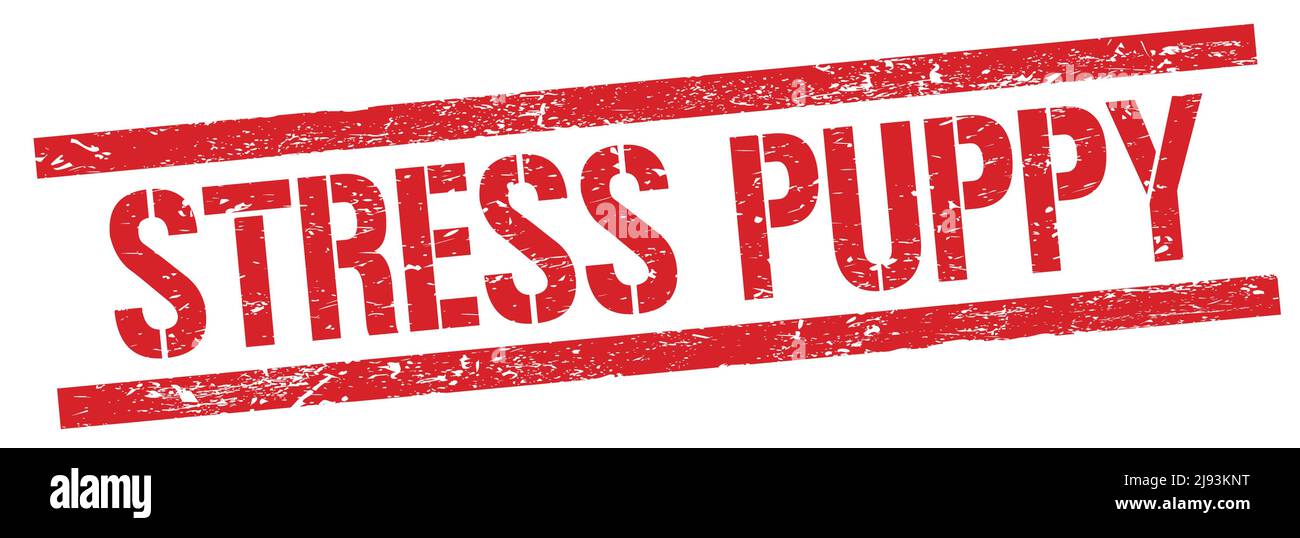 STRESS PUPPY text on red grungy rectangle stamp sign Stock Photo - Alamy