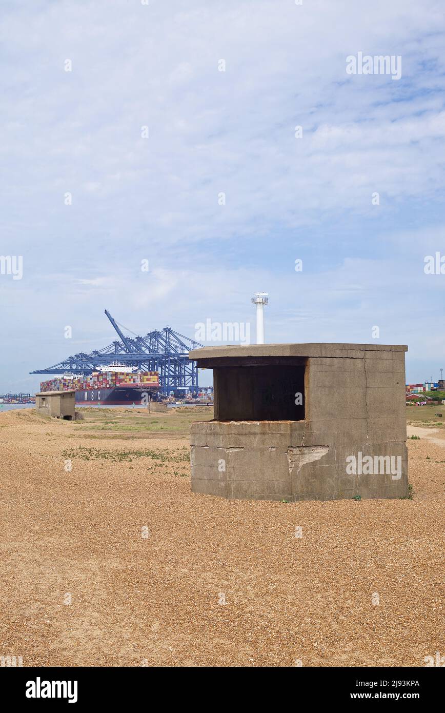 Container ship MSC Hamburg docked at the Port of Felixstowe with part ...