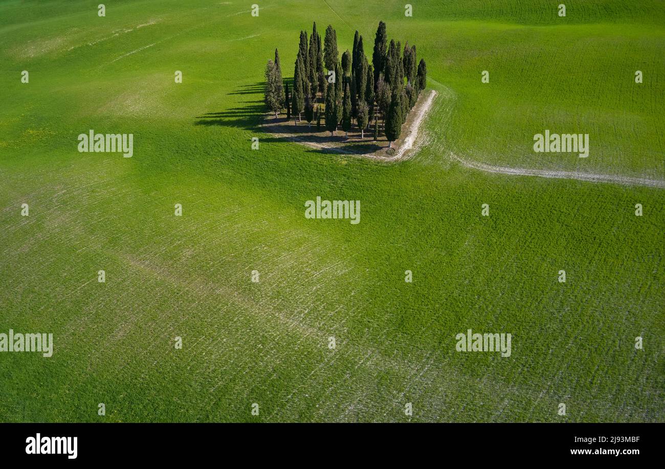 Group cypresses hi-res stock photography and images - Alamy
