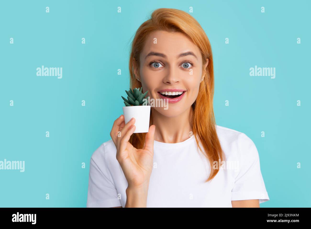 Emotional funny cute woman girl with a small cactus. Closeup face ...