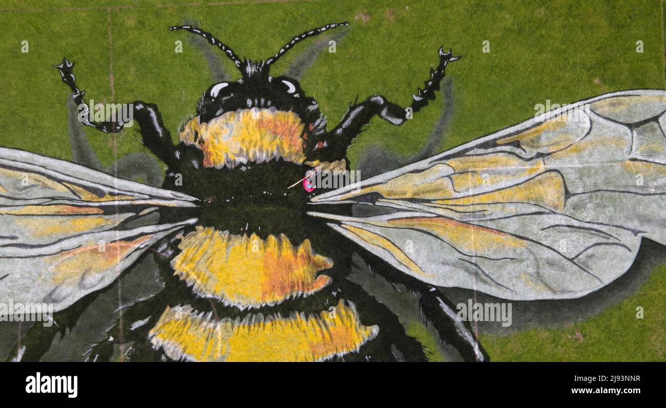 Bee mural hi-res stock photography and images - Alamy