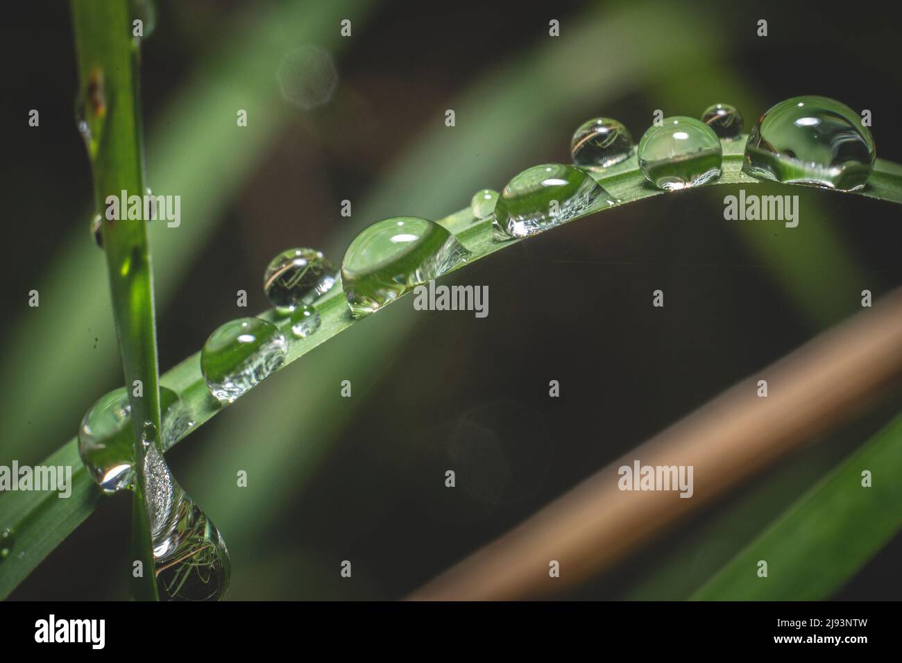 Land and water drops hi-res stock photography and images - Alamy