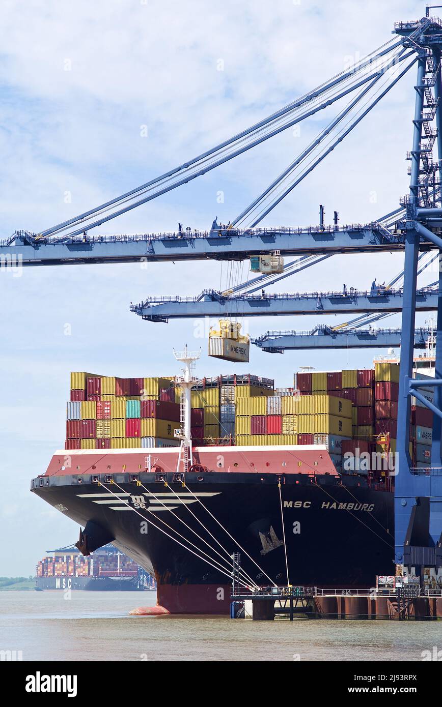 Container ship MSC Hamburg docked and being loaded/unloaded at the Port ...