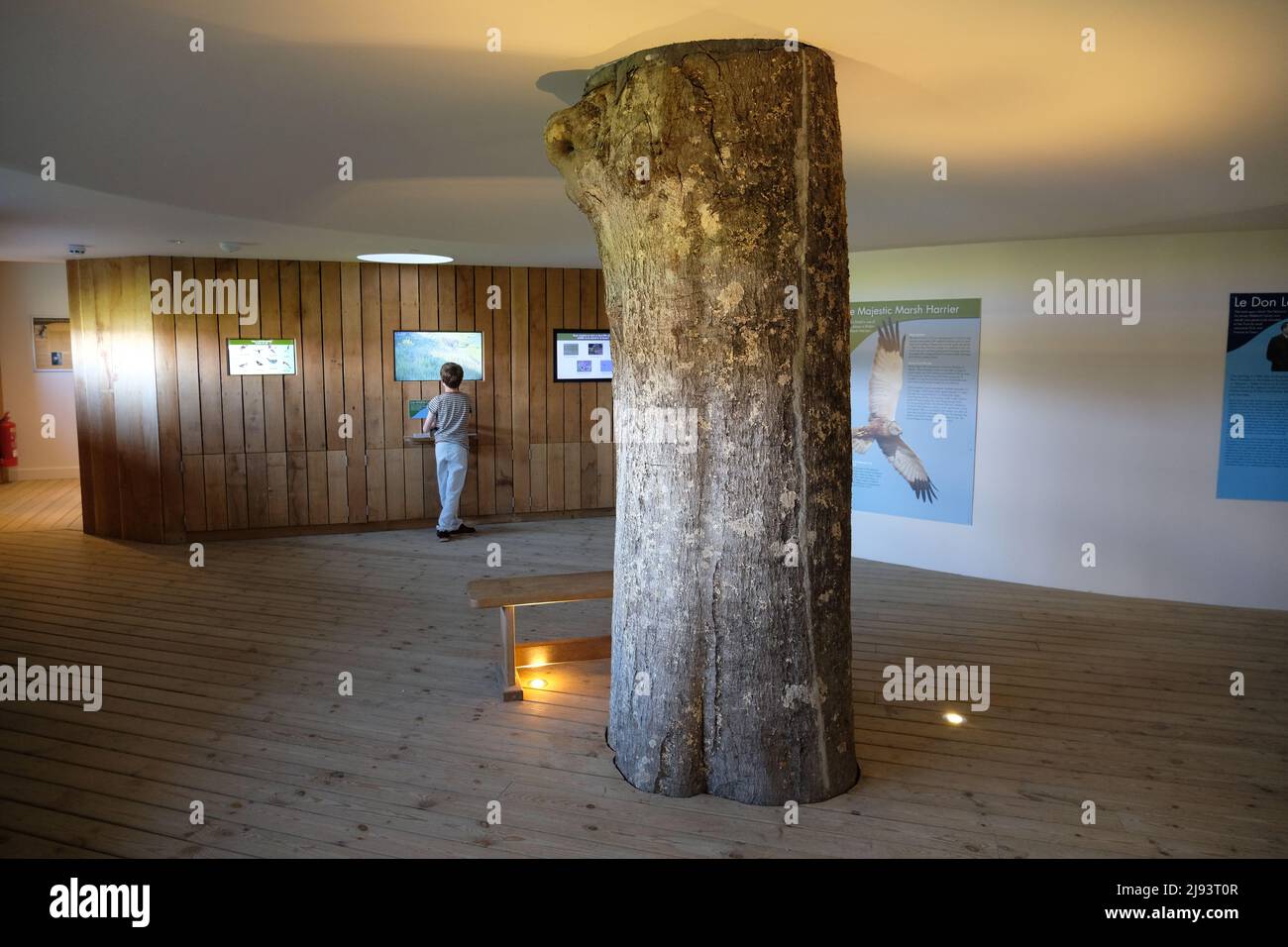 Young boy looking at a display screen inside the bird hide of Jersey ...