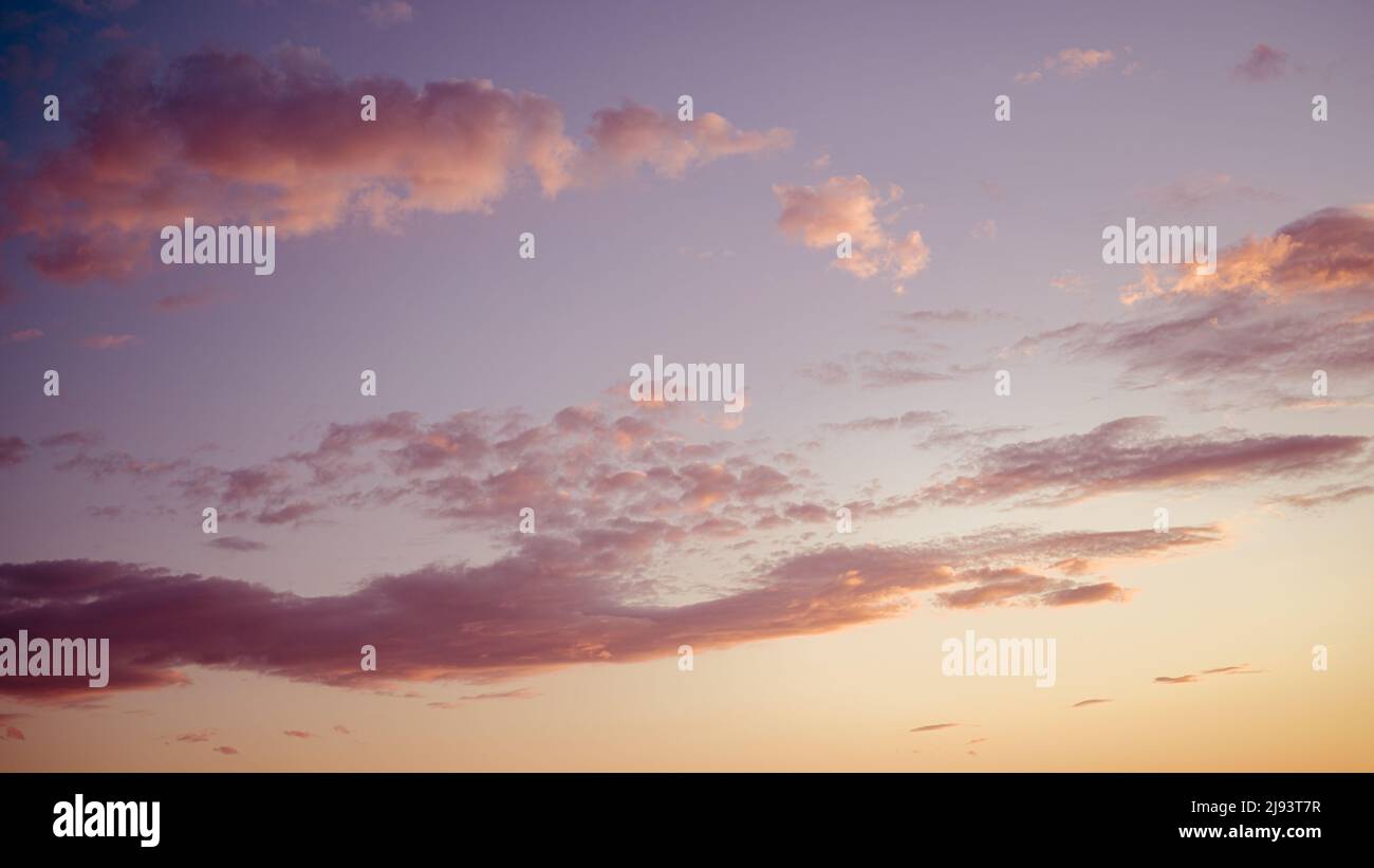 Vanilla colour hi-res stock photography and images - Alamy