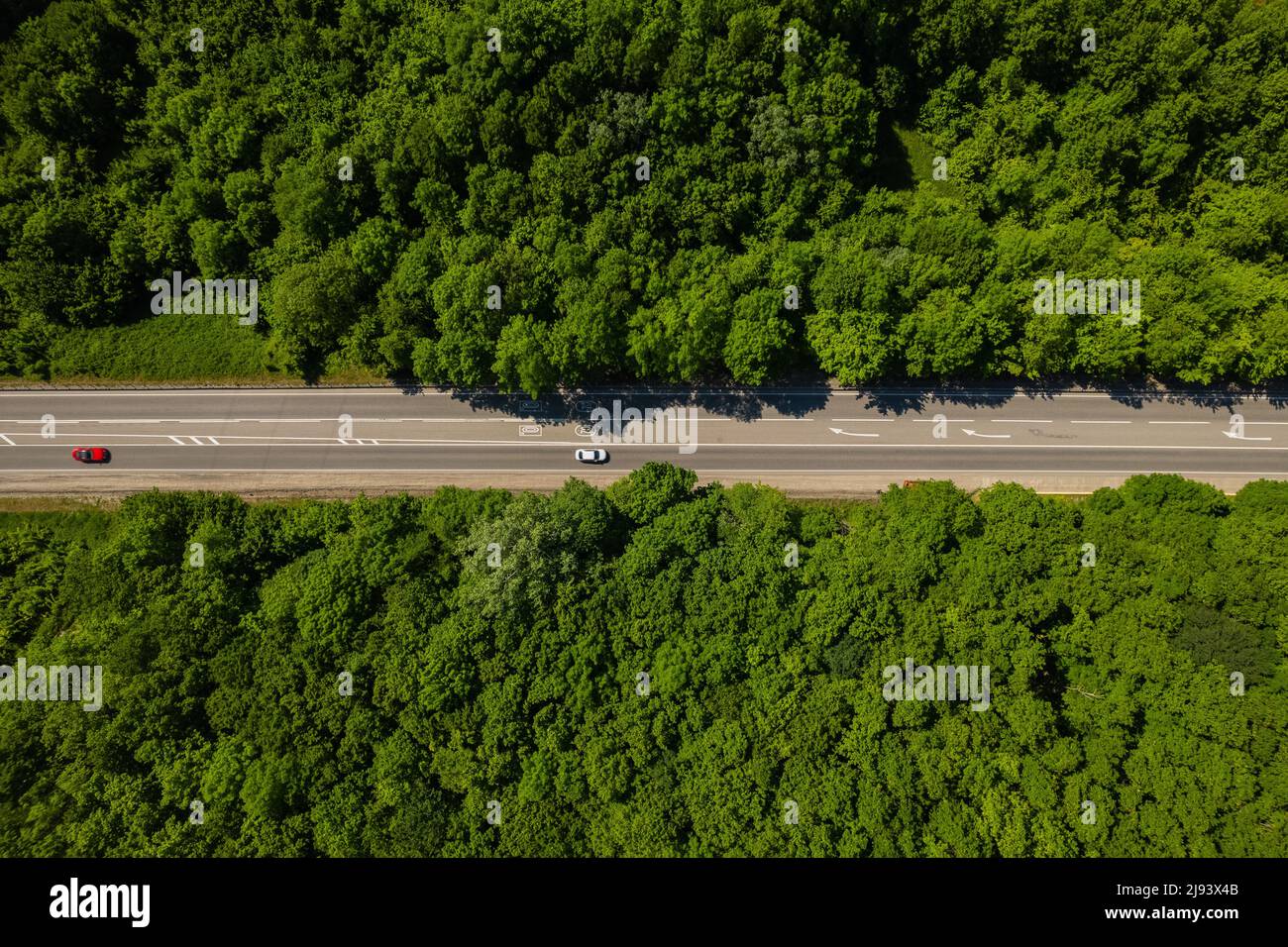 Road through the green forest, aerial view car drive going through ...