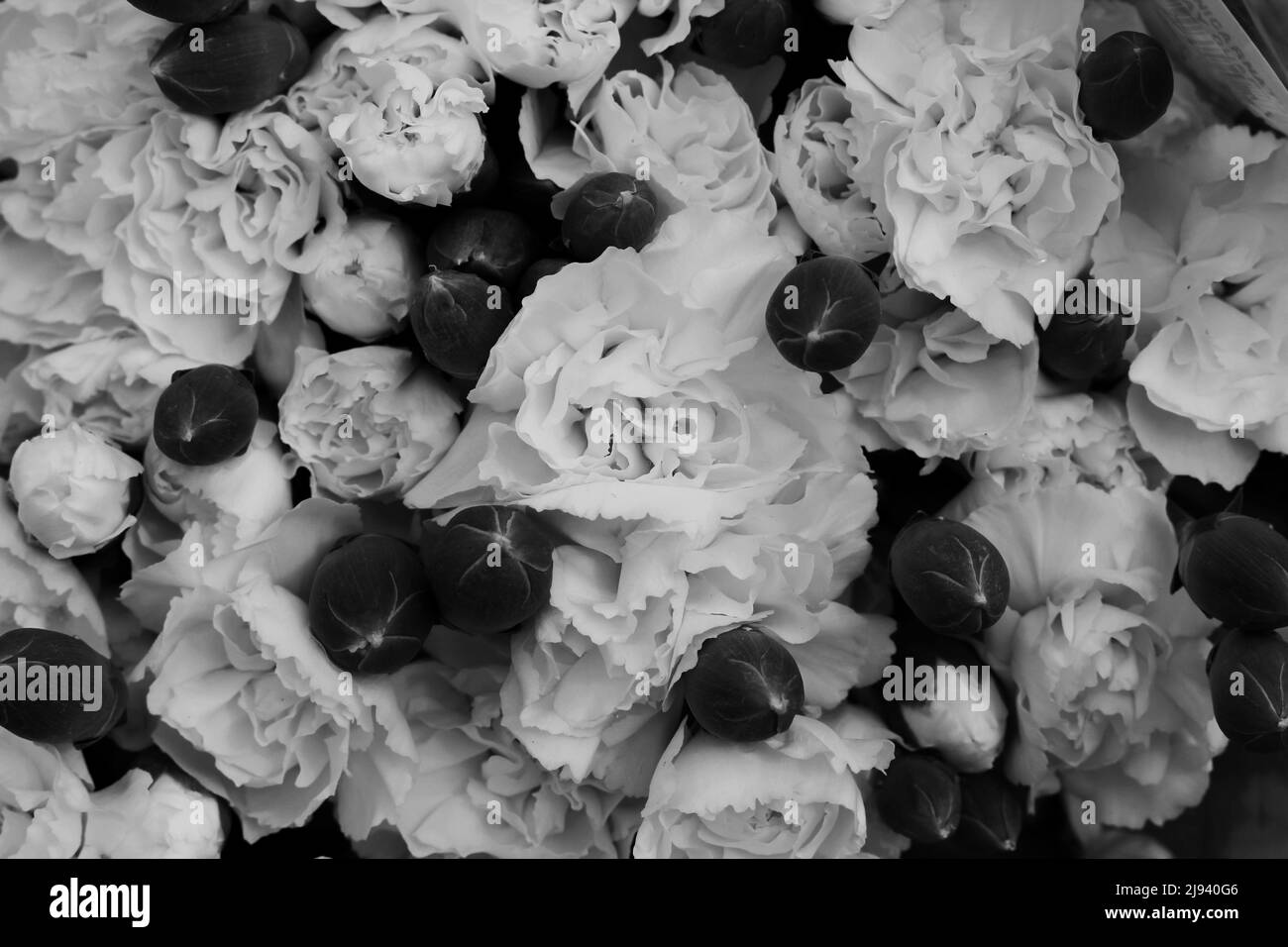 Beautiful bouquet of fresh flowers as a gift for a special someone in ...