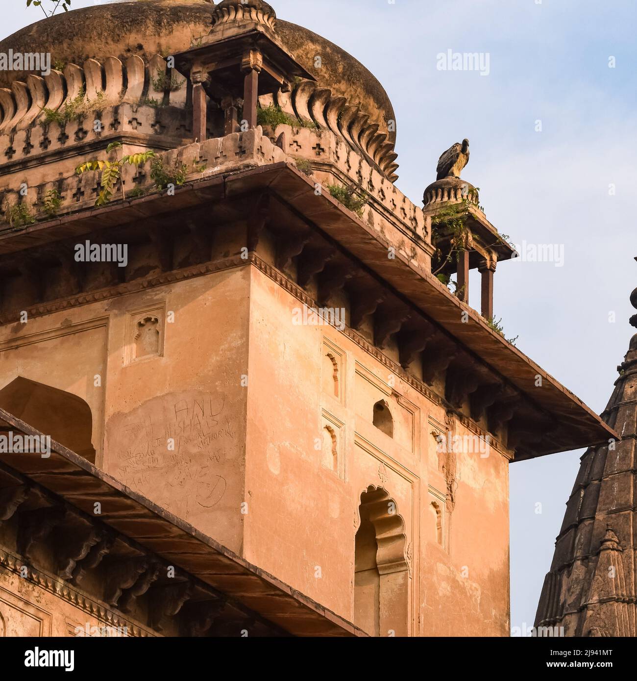 Morning View of Royal Cenotaphs (Chhatris) of Orchha, Madhya Pradesh ...