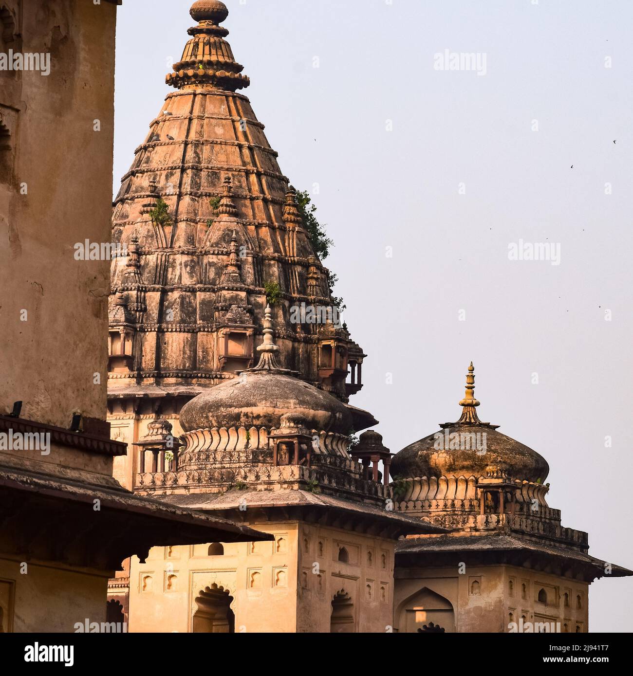 Morning View of Royal Cenotaphs (Chhatris) of Orchha, Madhya Pradesh ...