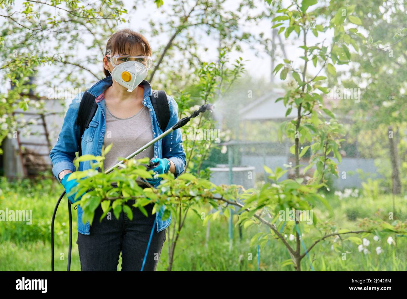 Woman with backpack garden spray gun under pressure handling pear fruit ...