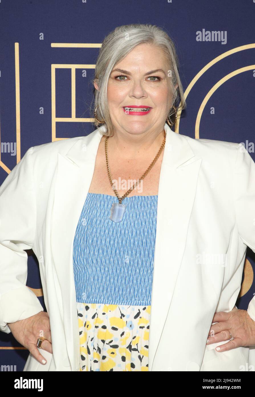 Hollywood, Ca. 19th May, 2022. Paula Pell at the Girls5eva NBCU FYC ...