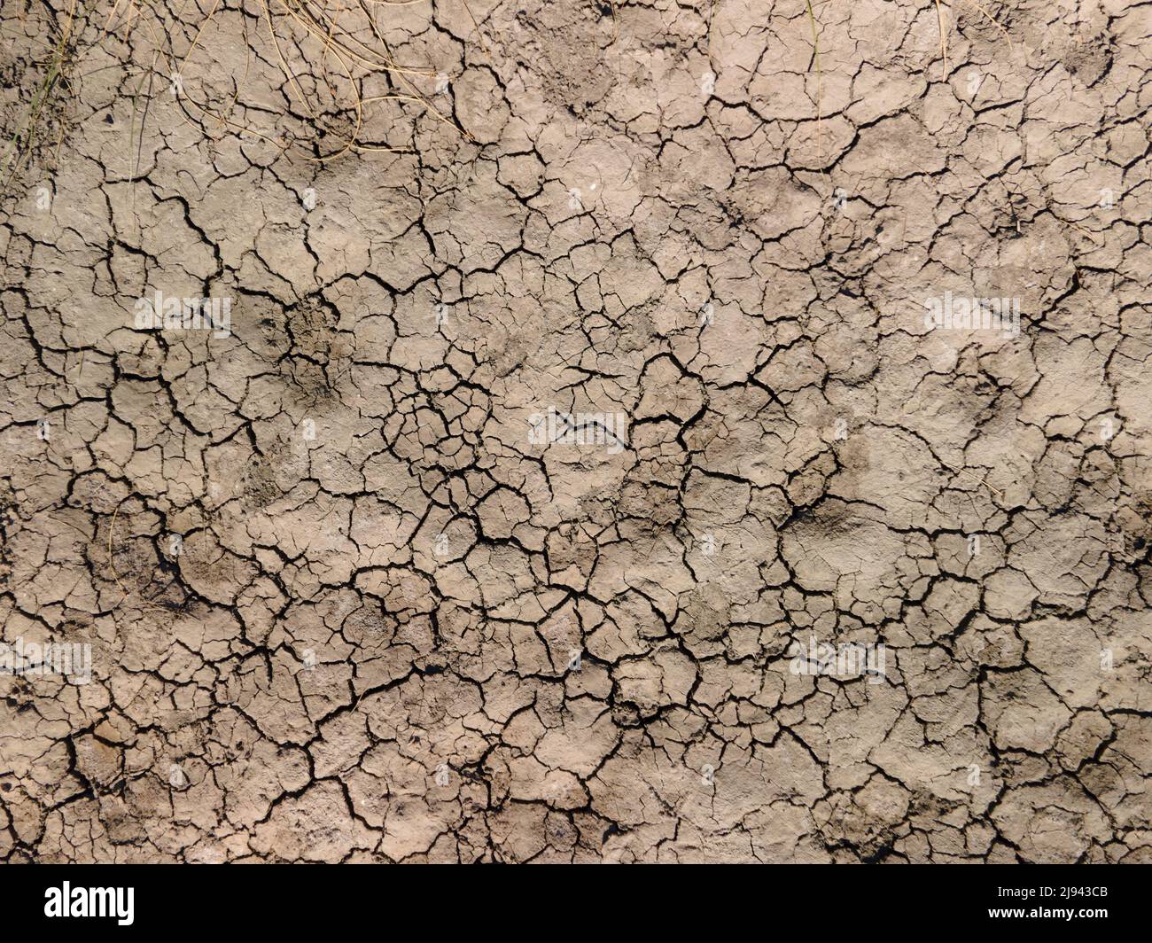 Dry river bed. Empty dry river bed with cracked ground. Global warming ...