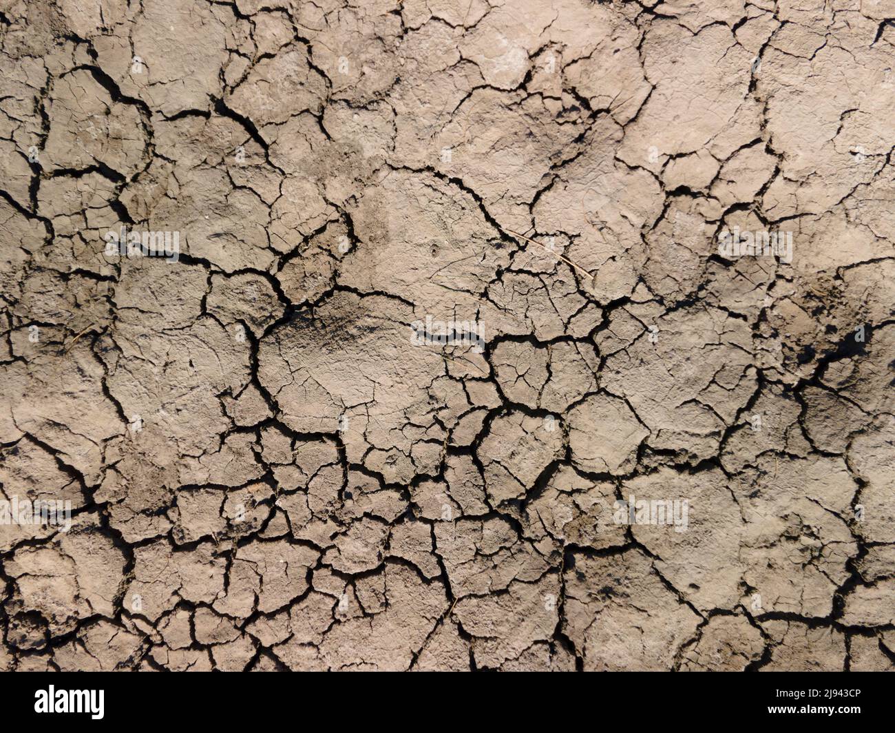 Dry river bed. Empty dry river bed with cracked ground. Global warming ...