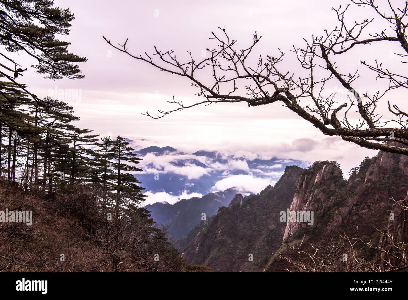 Wonderful and curious sea of clouds at beautiful Huangshan mountain landscape in China Stock ...