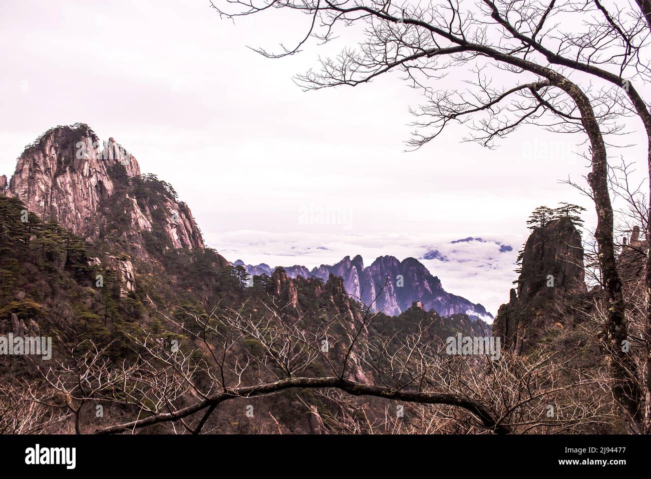 Wonderful and curious sea of clouds at beautiful Huangshan mountain landscape in China Stock ...