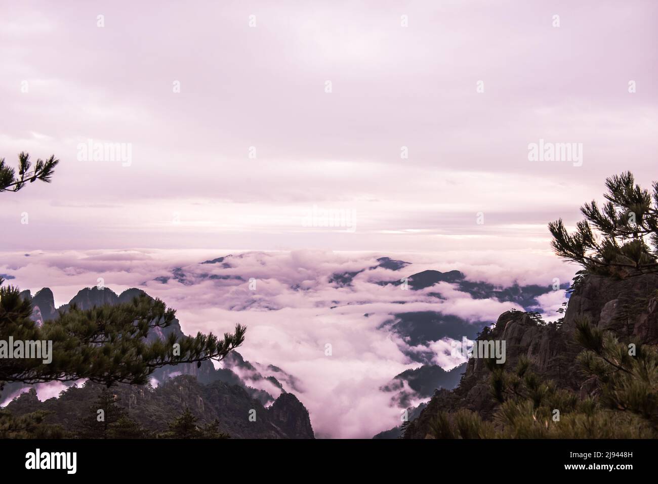 Wonderful and curious sea of clouds at beautiful Huangshan mountain landscape in China Stock ...