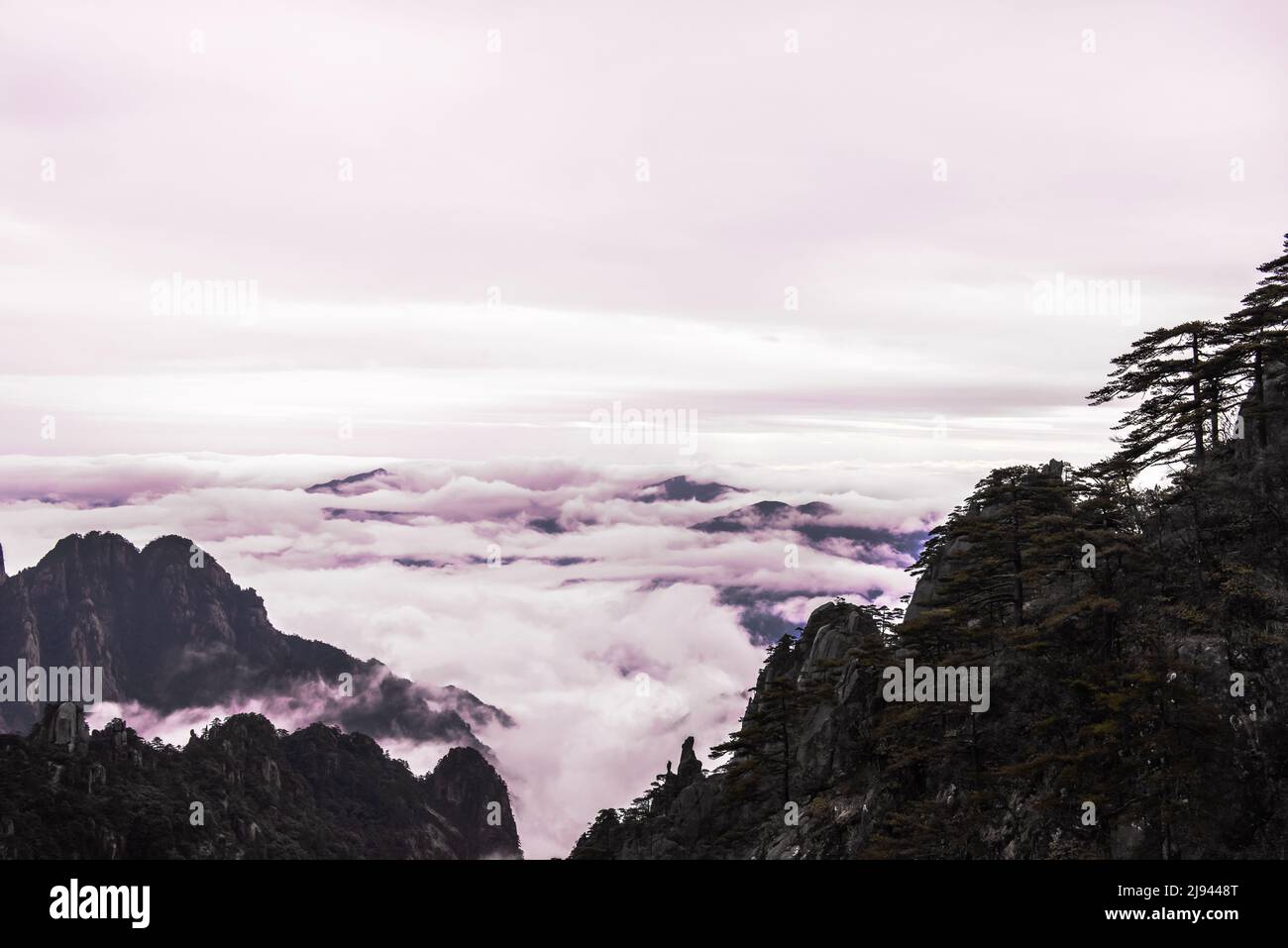 Wonderful and curious sea of clouds at beautiful Huangshan mountain landscape in China Stock ...