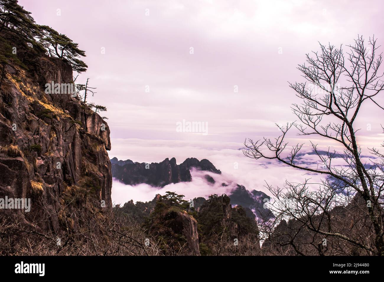 Wonderful and curious sea of clouds at beautiful Huangshan mountain landscape in China Stock ...