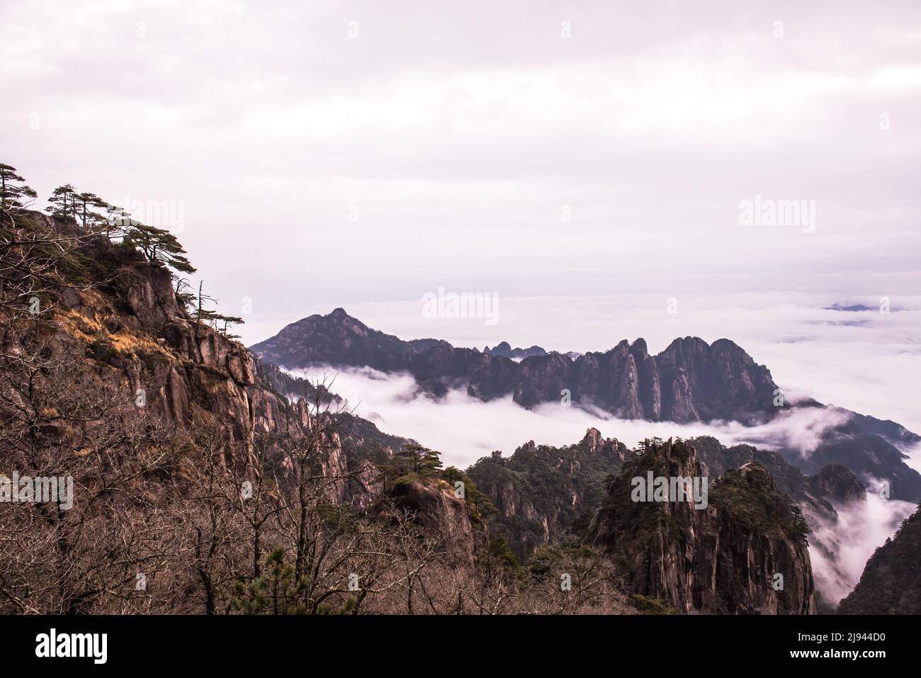 Wonderful and curious sea of clouds at beautiful Huangshan mountain landscape in China Stock ...