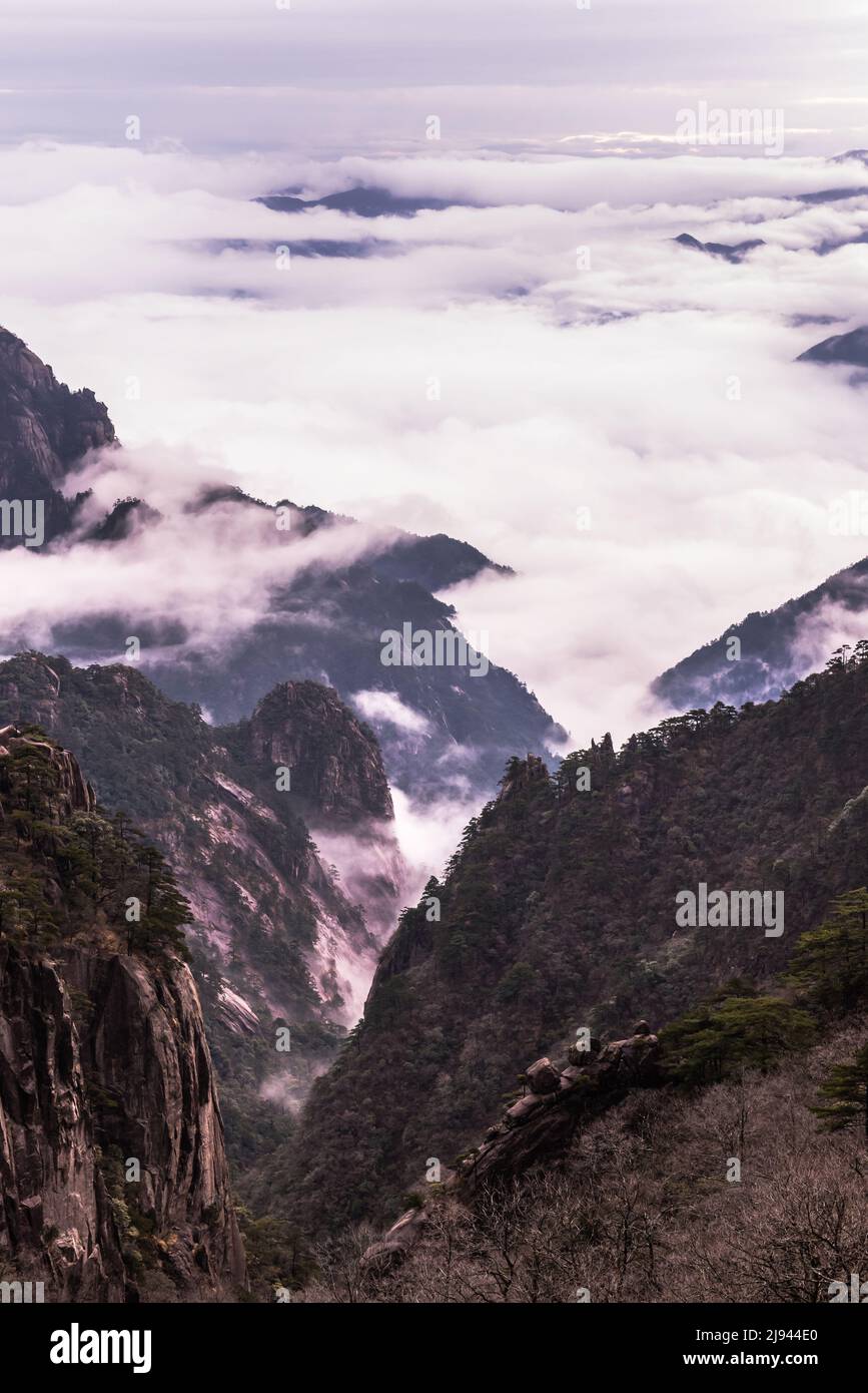 Wonderful and curious sea of clouds at beautiful Huangshan mountain landscape in China Stock ...