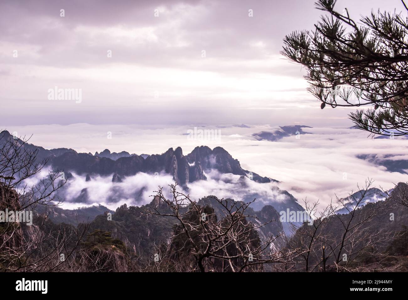 Wonderful and curious sea of clouds at beautiful Huangshan mountain landscape in China Stock ...