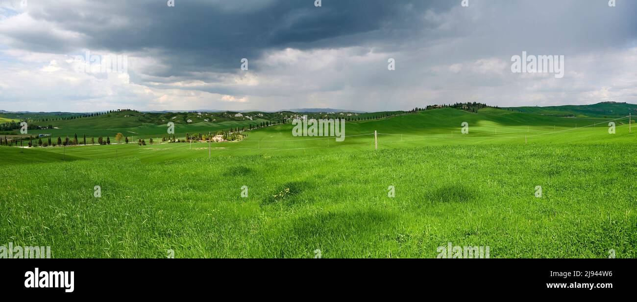 Taverne d’ Arbia (Si),Italy, a landscape of the hills Stock Photo - Alamy