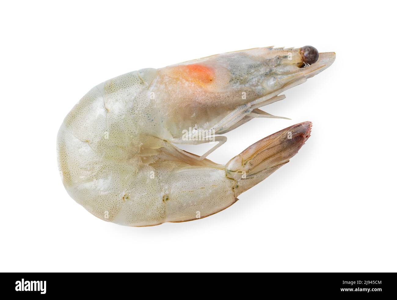 Grey raw shrimp prawn isolated on white with head Stock Photo - Alamy