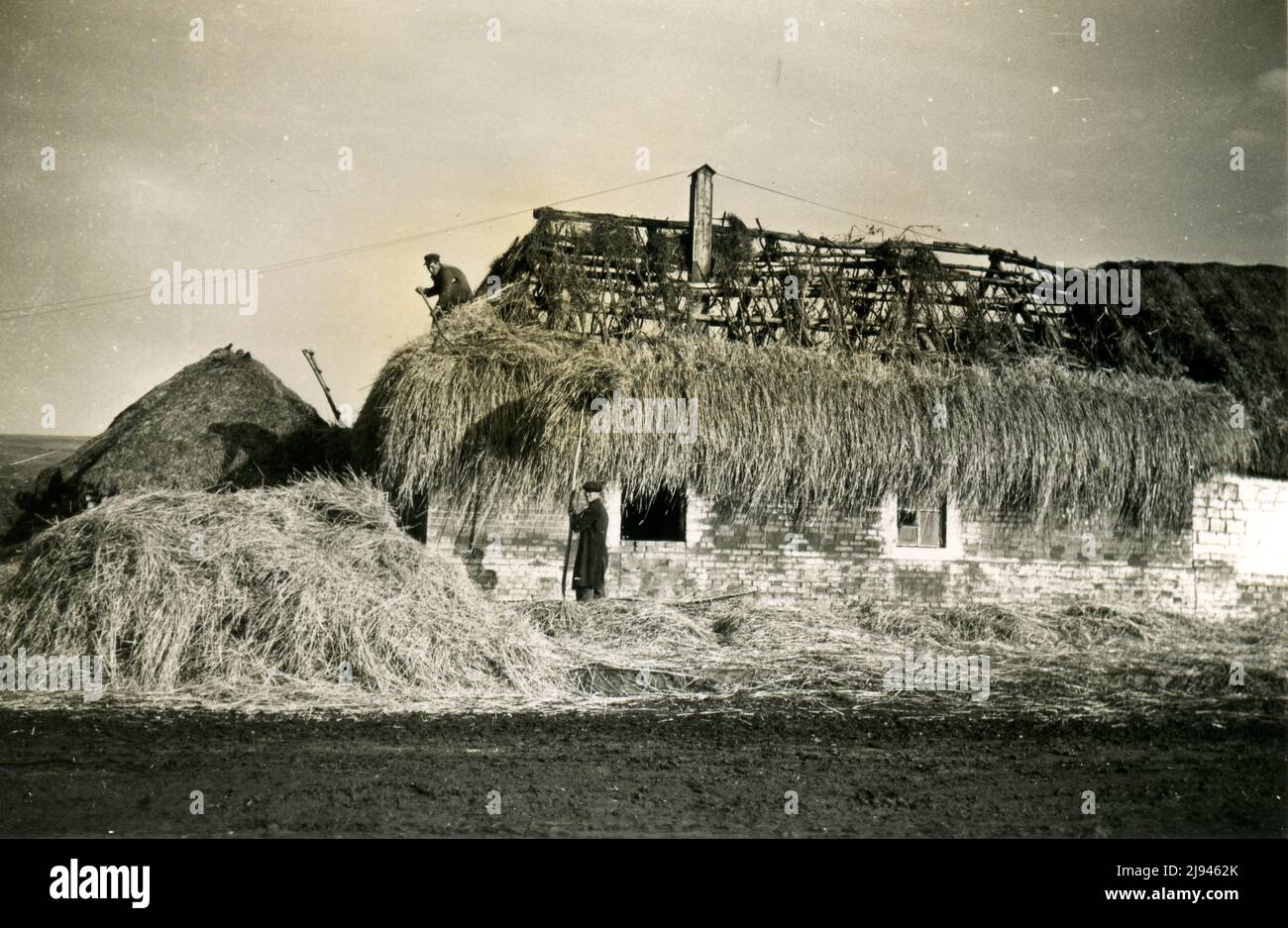 German soldier ww2 barbarossa hi-res stock photography and images - Alamy