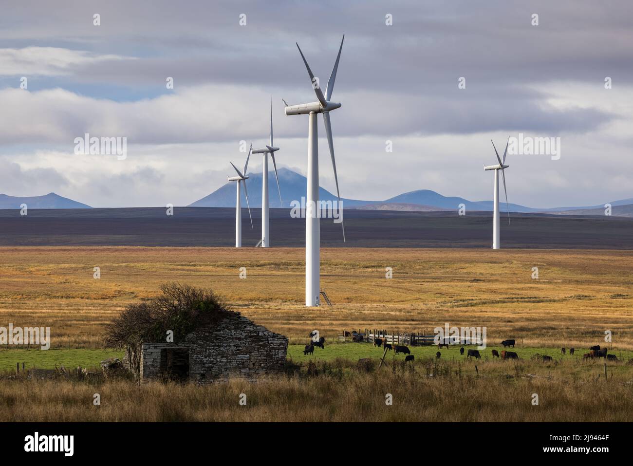 A wind farm at Sibster Burn, Halkirk, Caithness, Scotland, UK Stock ...